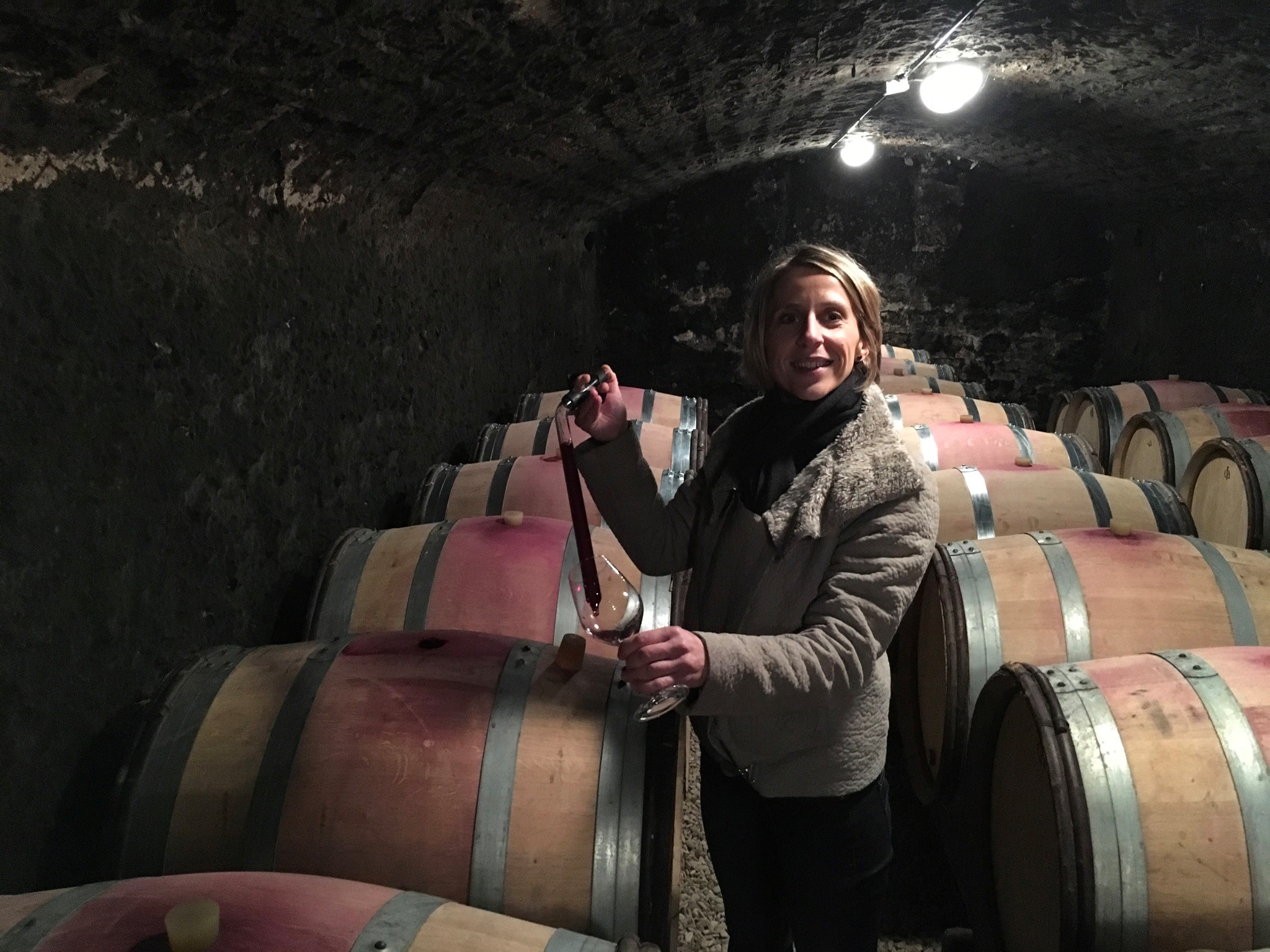 Domaine de L'Arlot - Skurnik Wines & Spirits