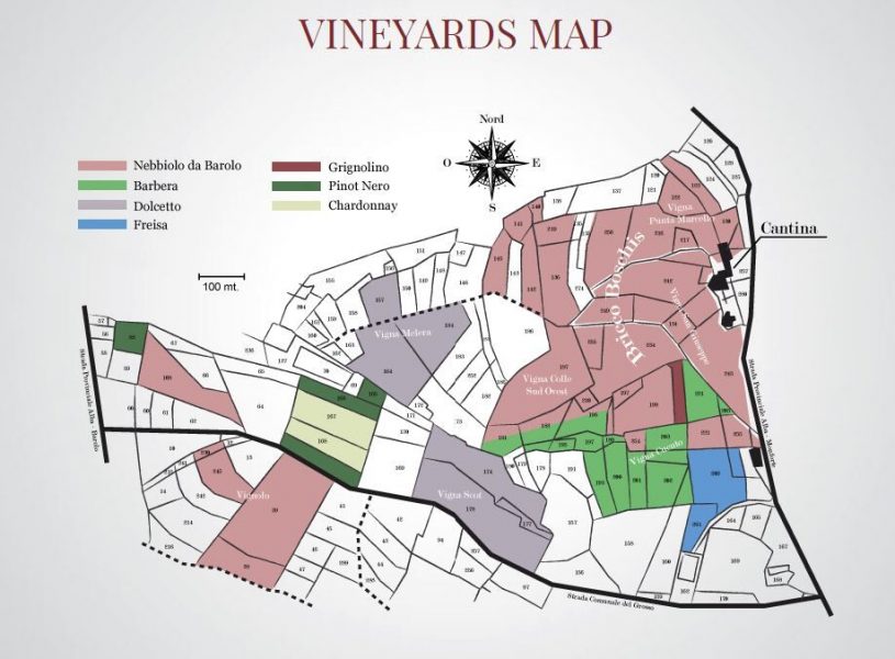 Cavallotto: The Legend of Bricco Boschis - Skurnik Wines & Spirits