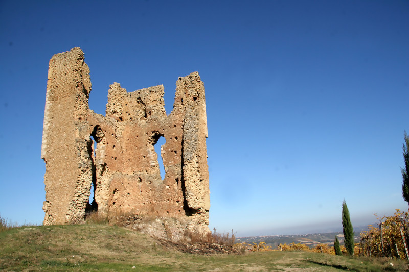 Torre Raone - Skurnik Wines