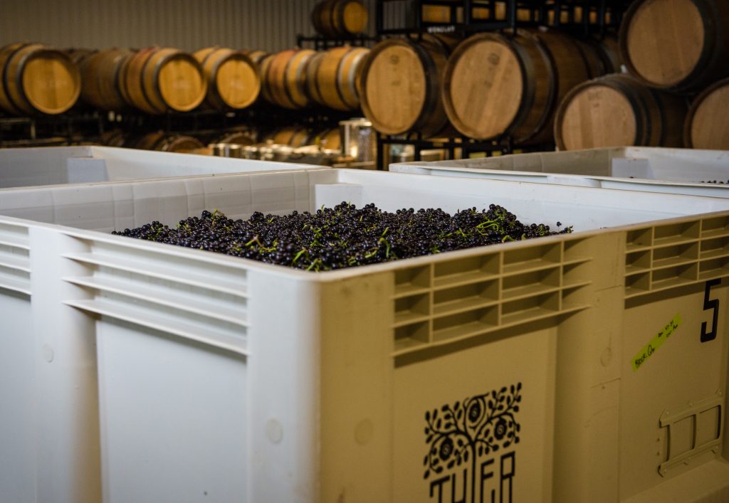 Where the Hills Meet the Sea: Tyler Winery's Exploration of Santa ...