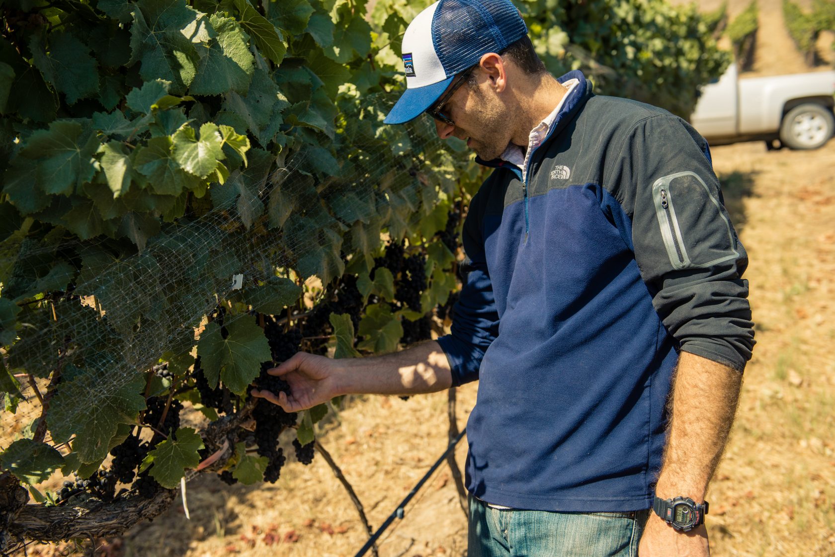 An Interview with Justin Willett of Tyler - Skurnik Wines & Spirits