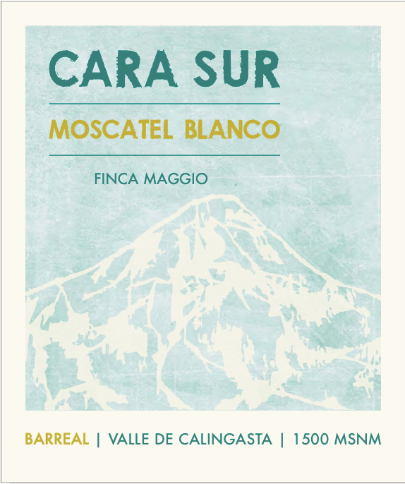 Moscatel Blanco, Cara Sur - Skurnik Wines & Spirits