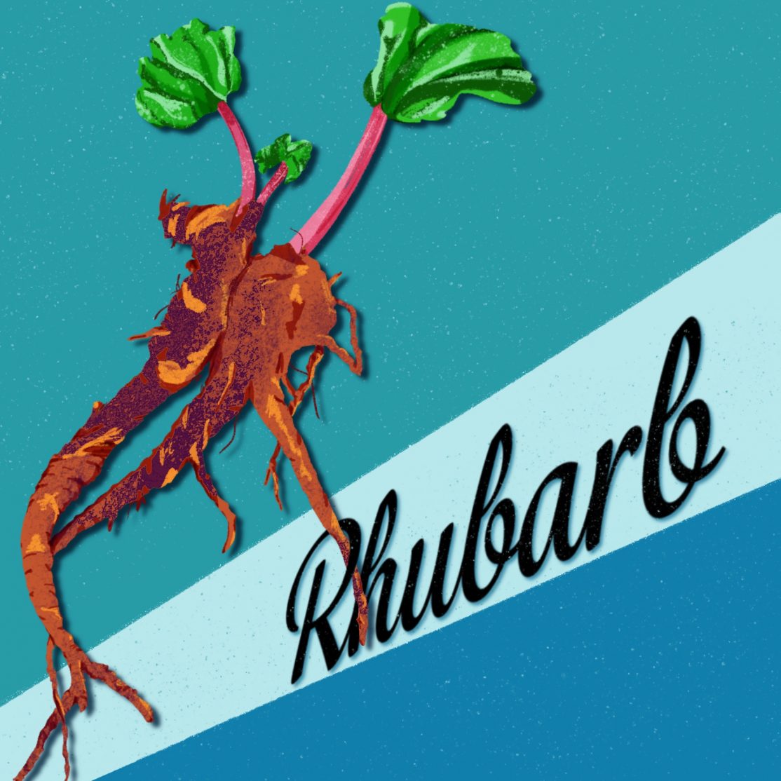 Tracing the “Roots” of the Red Bitter - Skurnik Wines & Spirits aperitivi