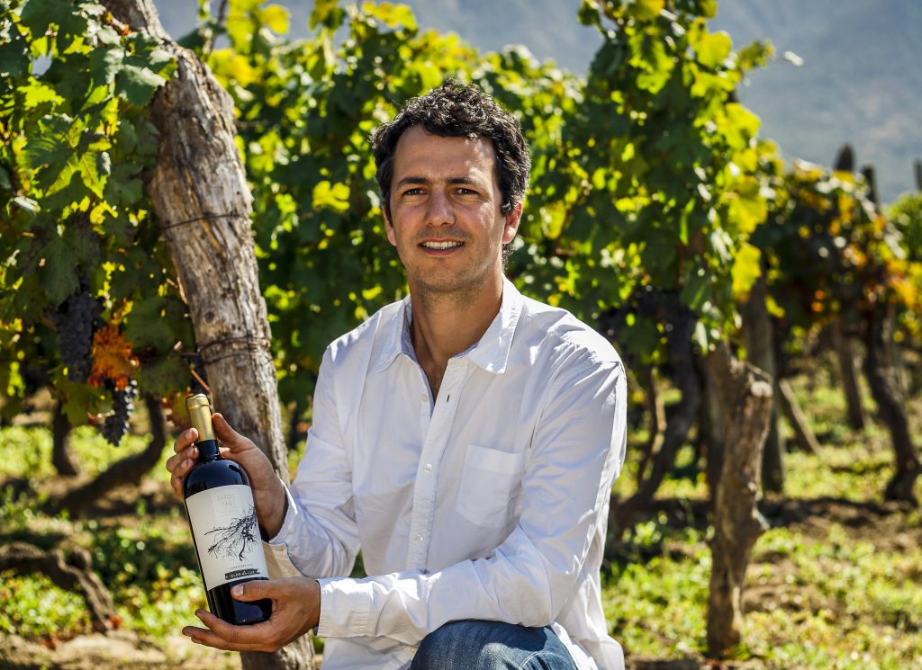 Clos de Luz - Skurnik Wines & Spirits