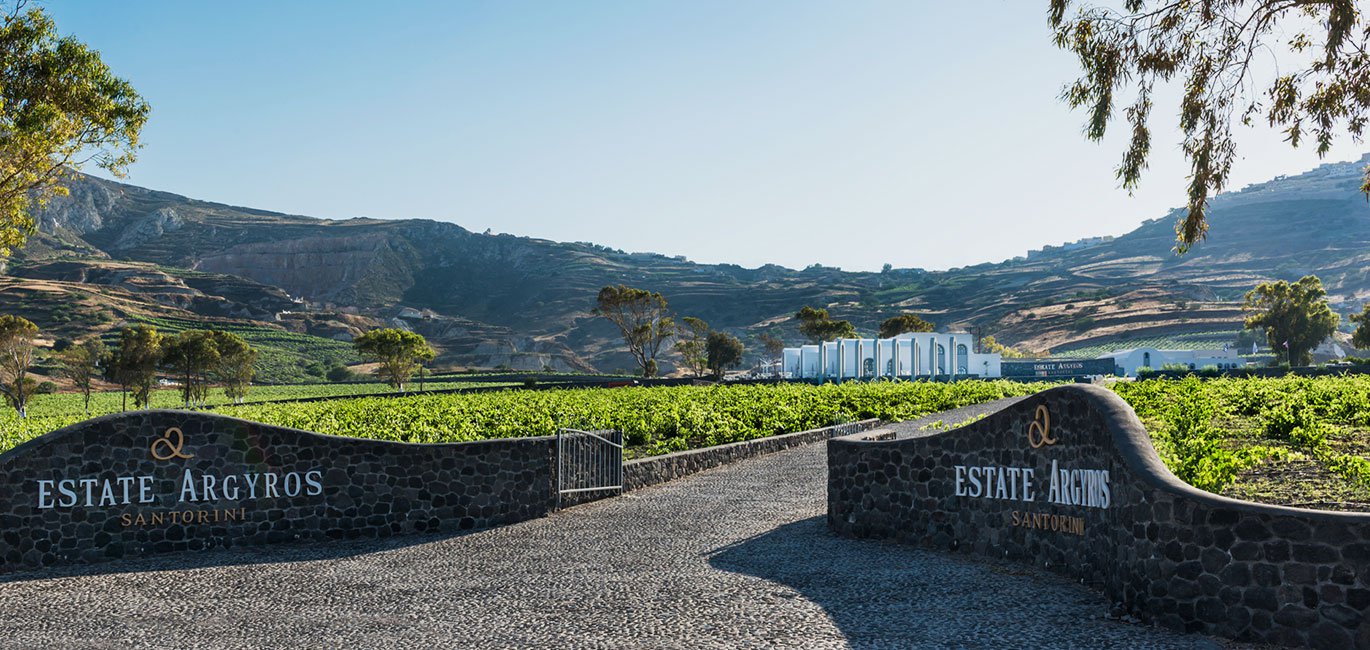 Estate Argyros: Santorini’s Old-Vine Icon - Skurnik Wines & Spirits