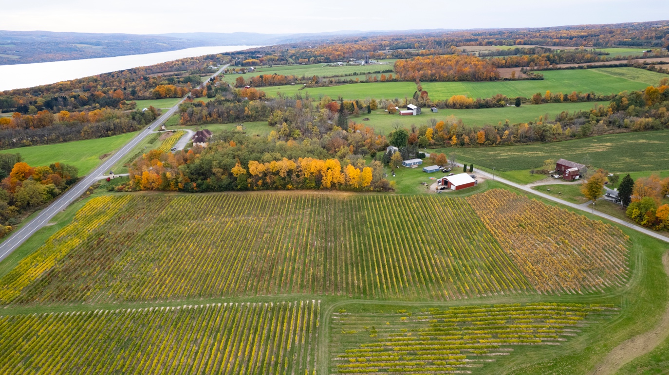 Apollo's Praise - Skurnik Wines & Spirits