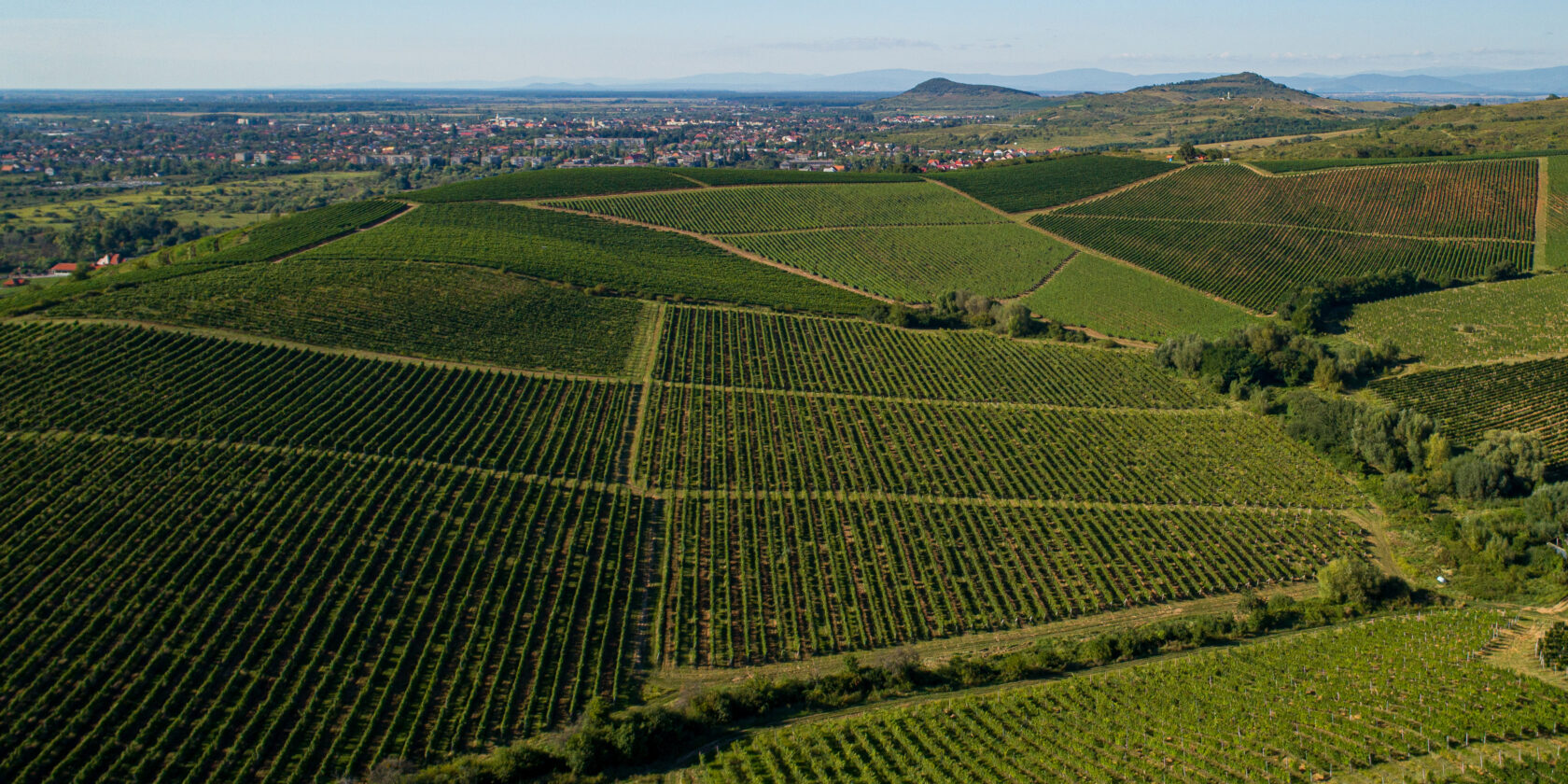 An Introduction to Ukrainian Wine with Bruce Schneider of Vyno Ukrainy ...