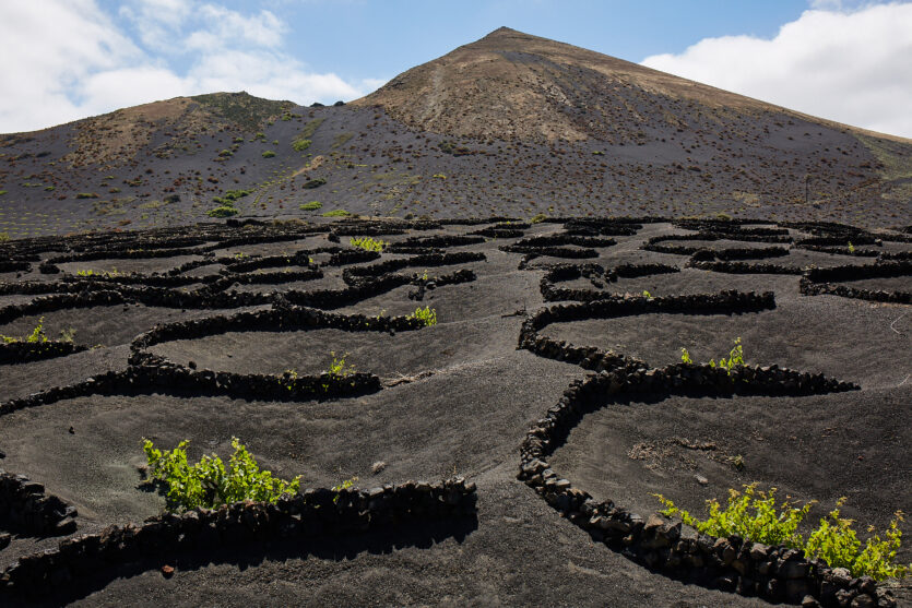 The Fortunate Isles (III of III): Puro Rofe - Lanzarote, Canary Islands ...
