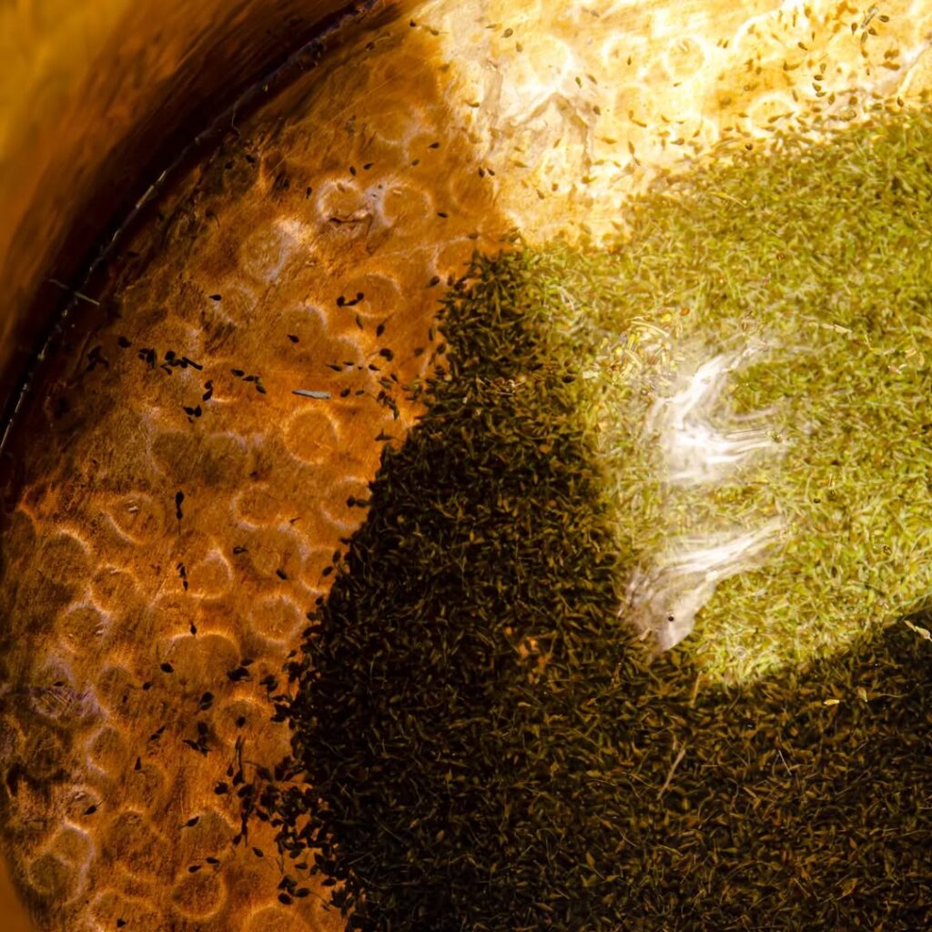 Exploring Arak: The Ancient Elixir and a New Chapter with Massaya ...