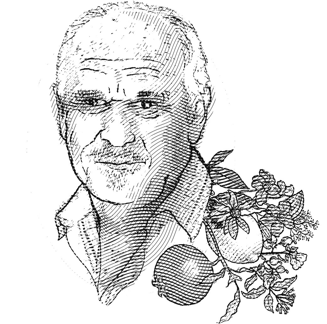 Vallet Amaro - Skurnik Wines & Spirits