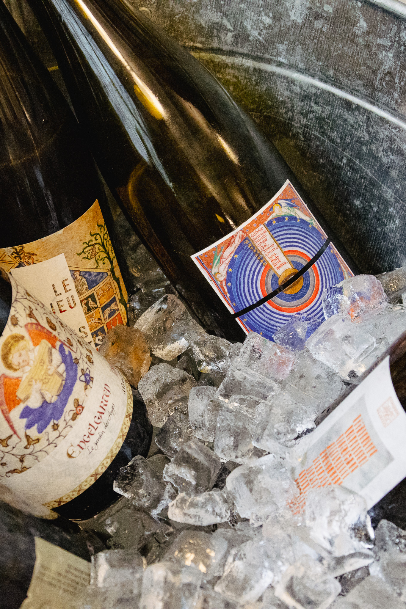 The Next Generation of French Viticulture - Skurnik Wines & Spirits